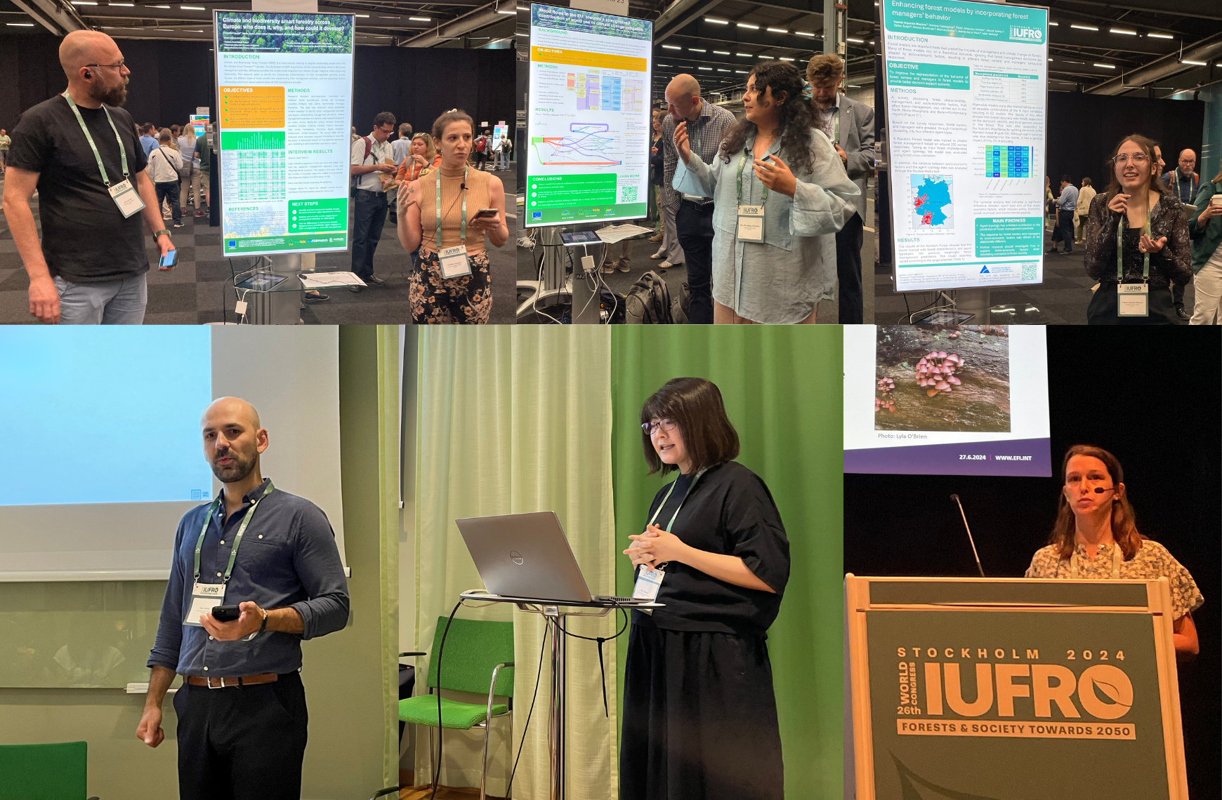 EFI’s IUFRO 2024 highlights | European Forest Institute